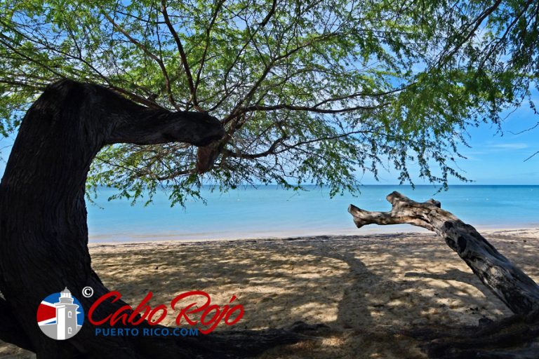 Playa El Combate (Combate Beach), Cabo Rojo, Puerto Rico - 2023 Guide