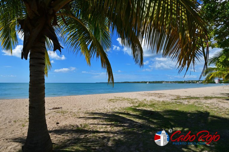 Cabo Rojo Puerto Rico Beaches Guide 2023 - Full Visitor's Guide