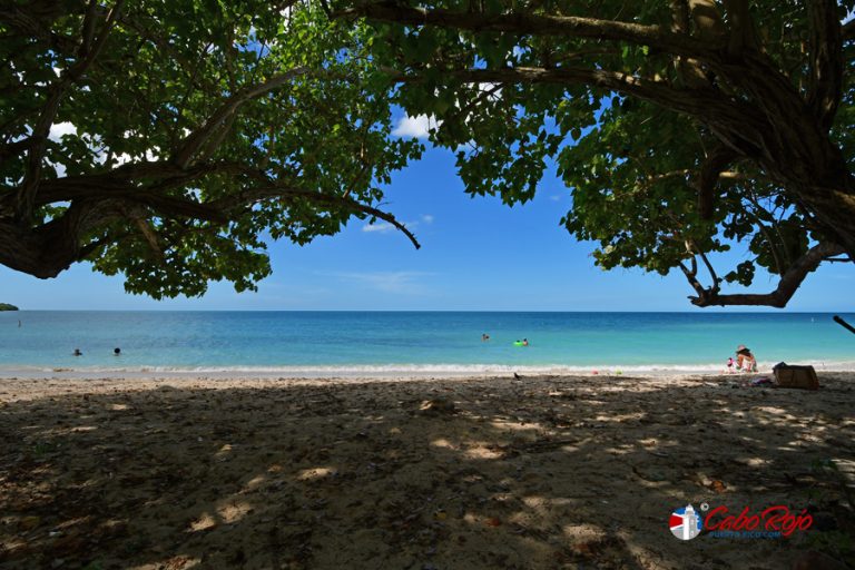Playa Buye (Buye Beach), Cabo Rojo, Puerto Rico 2023 Full Beach Guide